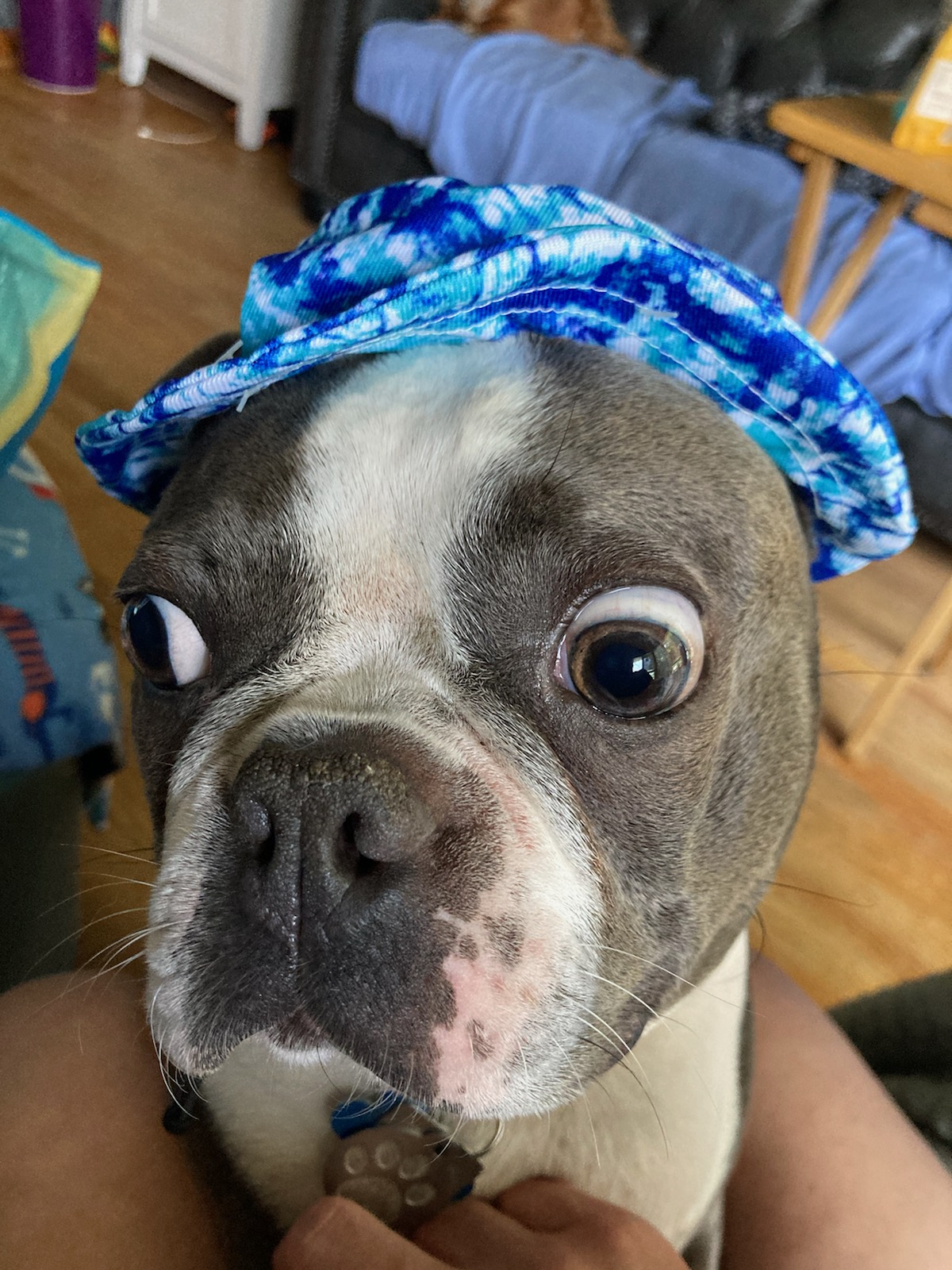 COPD Foundation Online Community and Support Network